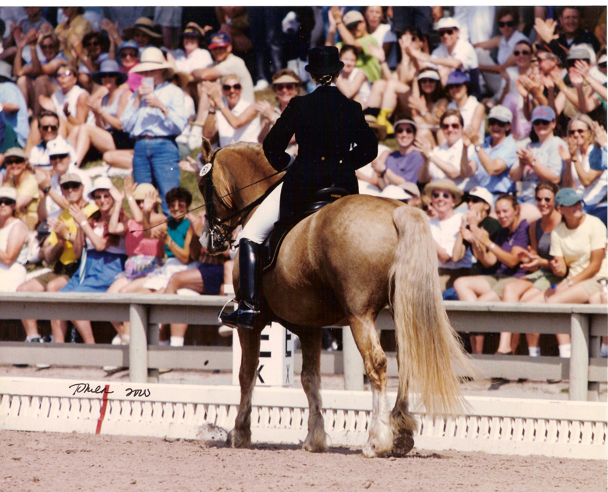 Nancy Hinz – USDF Bronze, Silver, and Gold Medalist